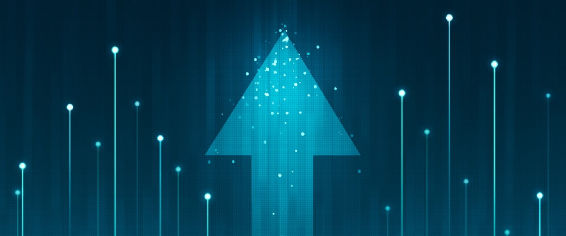 Which Web Development Framework is Best for You? Which Web Development Framework is Best for You?